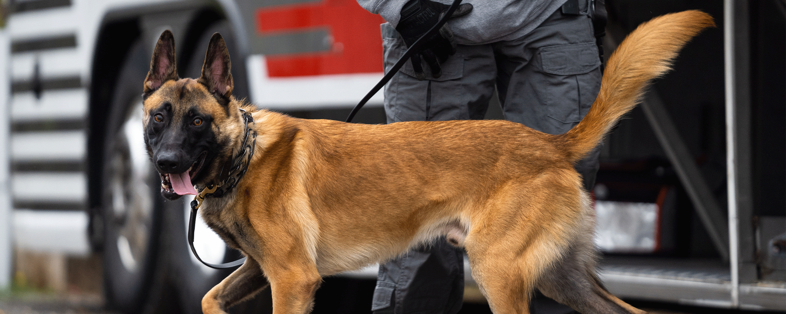 In the News: New K9 Officer | Department of Public Safety